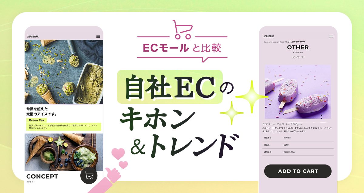 自社ECを立ち上げるなら知っておくべきECモールとの違い｜連携サービスも紹介｜BiNDec FEED